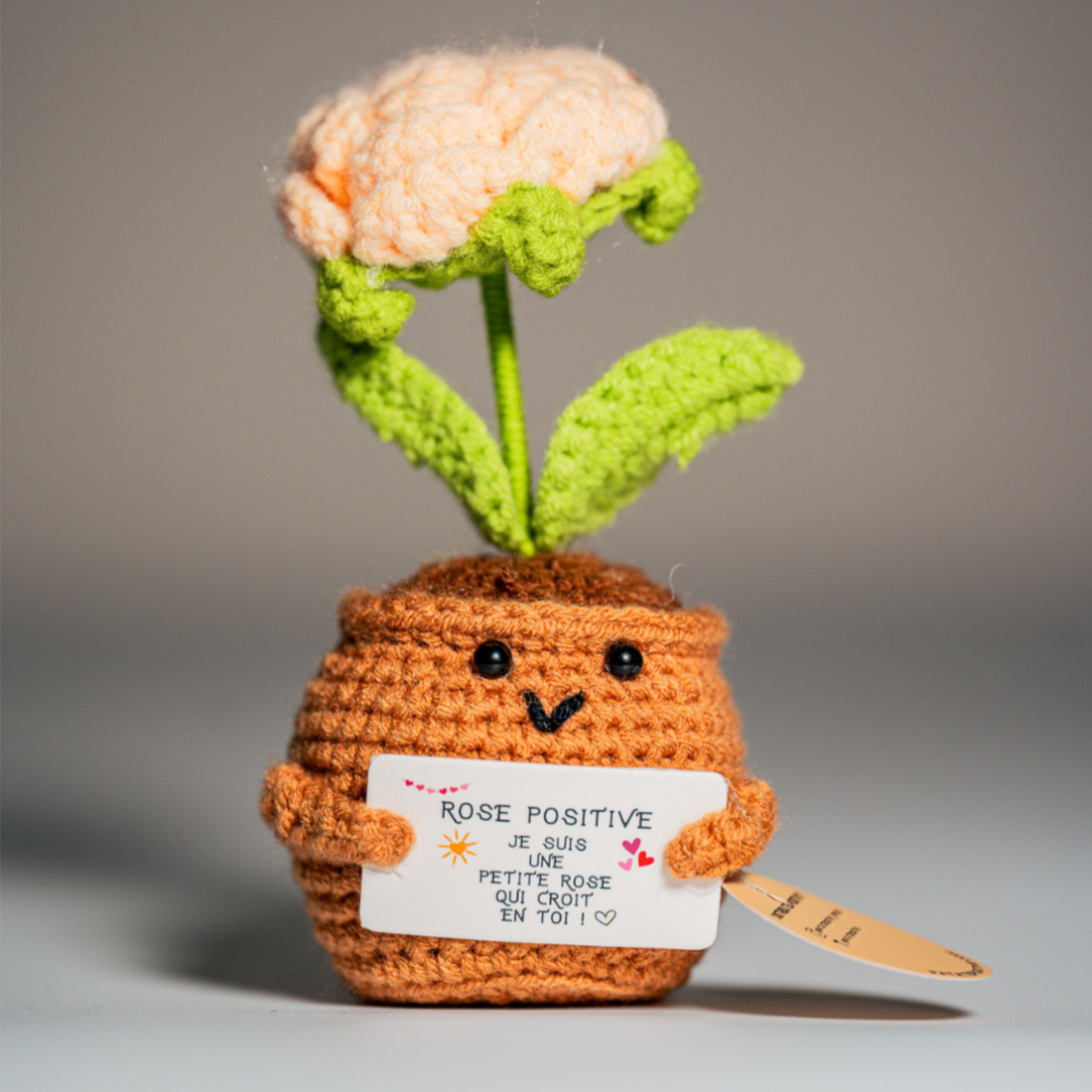 Nouveautés – Patate Positive